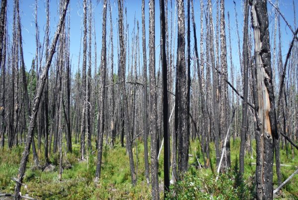 Fire and Harvest Residual (FAHR) Project - Ecosystem Based Management ...