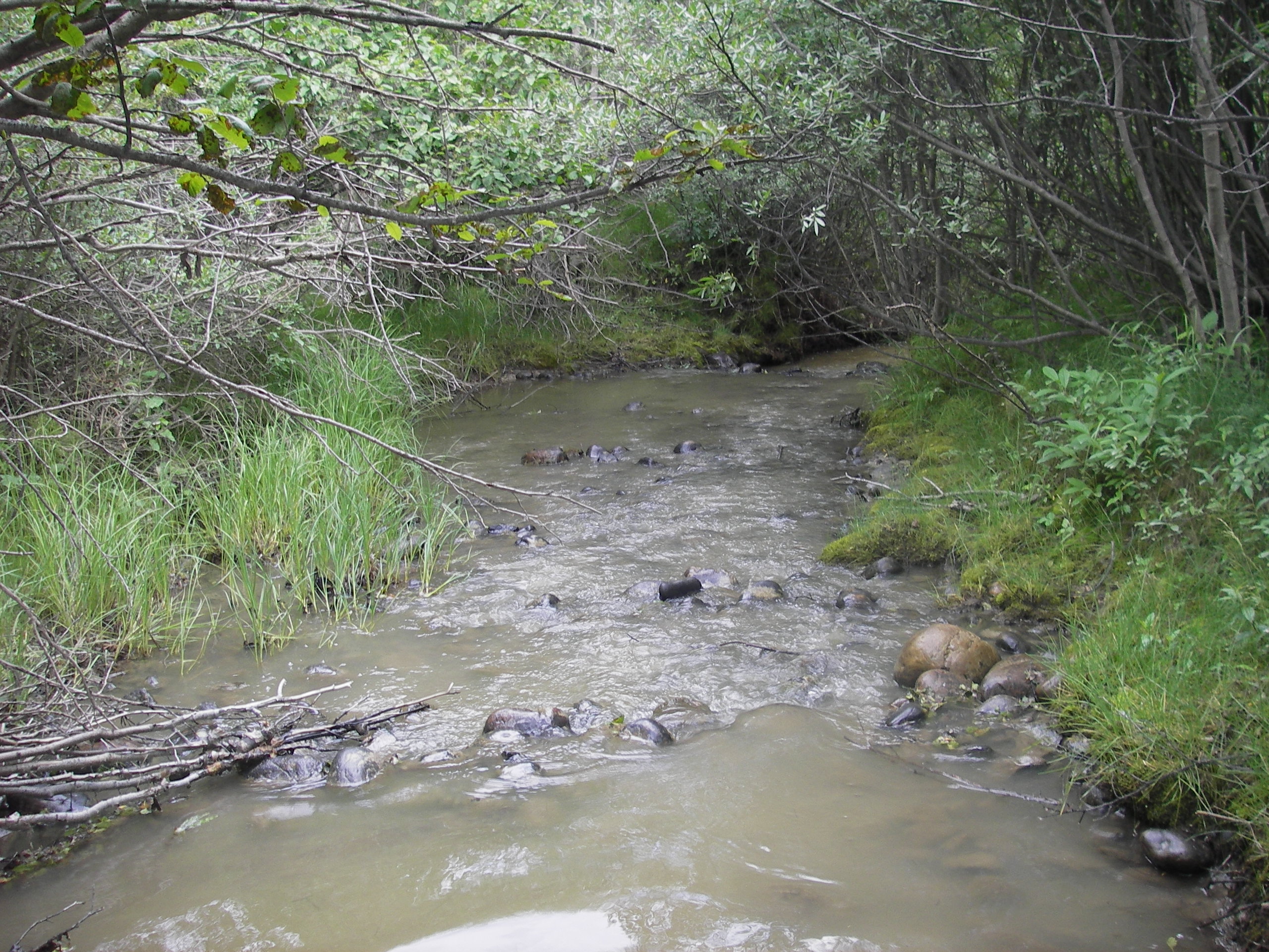 FORWARD: Monitoring flowing water in a working forest - Ecosystem Based ...